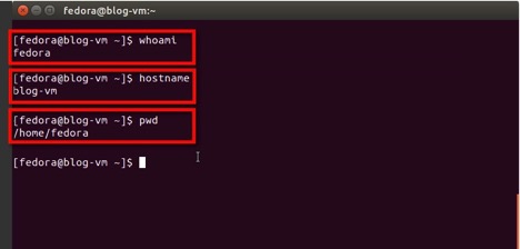 Using OpenStack in Skytap | Skytap